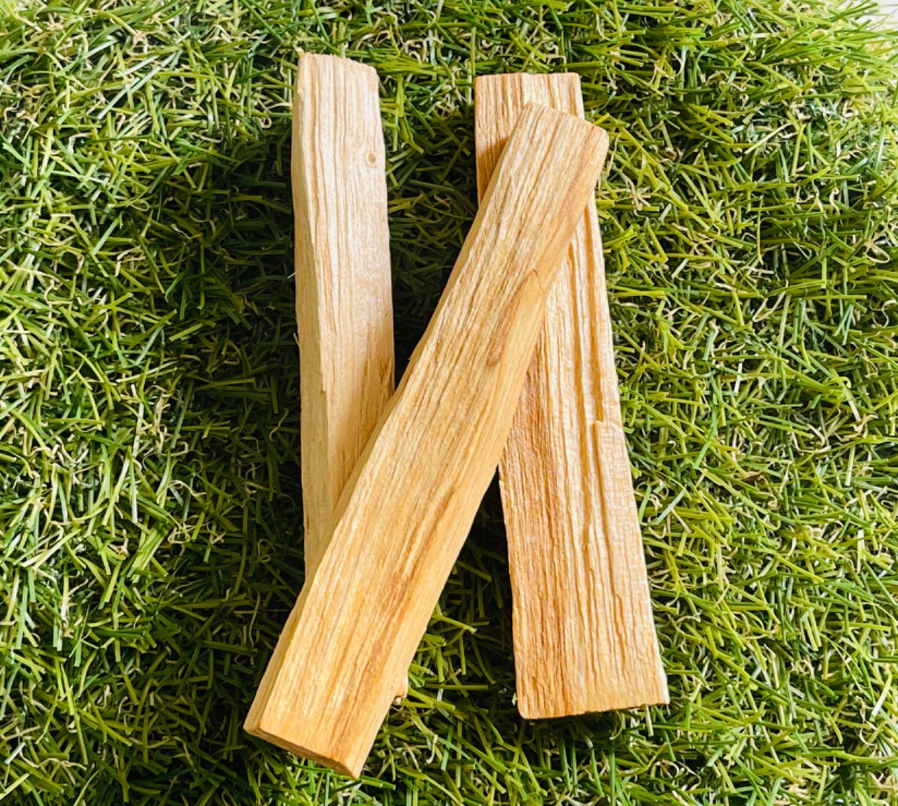 Qu’est ce que le Palo Santo ? – Les bijoux de Théa